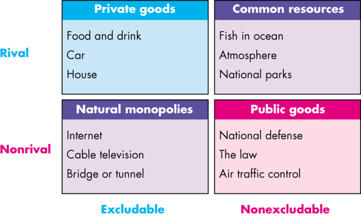 Excluding “Non-Excludable” Goods – Economist Writing Every Day