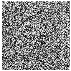 What is in a QR Code? – Economist Writing Every Day