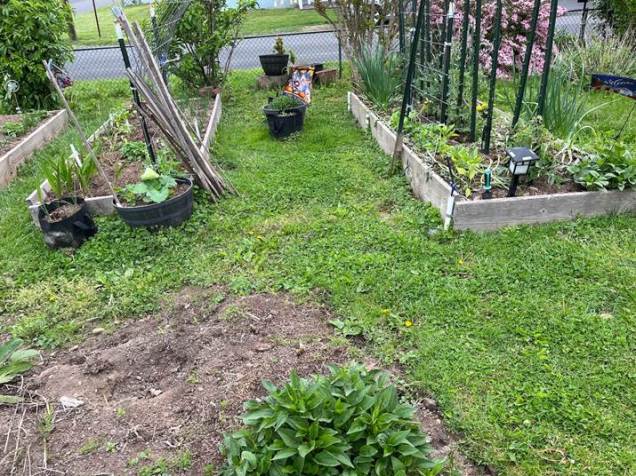 Urban Homesteader Starts with Garden Beds and Chickens – Economist ...